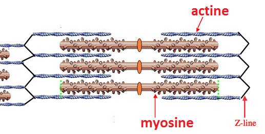 Presentation Name on emaze