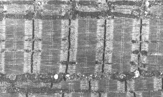 Presentation Name on emaze