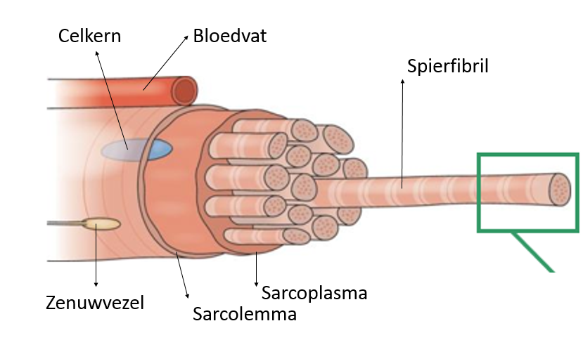 Presentation Name on emaze