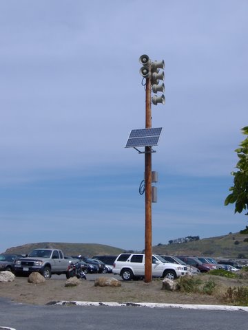 Tsunamis Michaela Carow on emaze