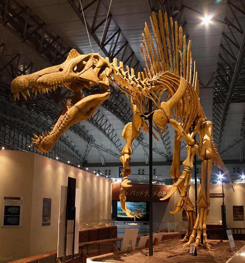 Spinosauridae at emaze Presentation