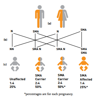 Spinal Muscular Atrophy on emaze