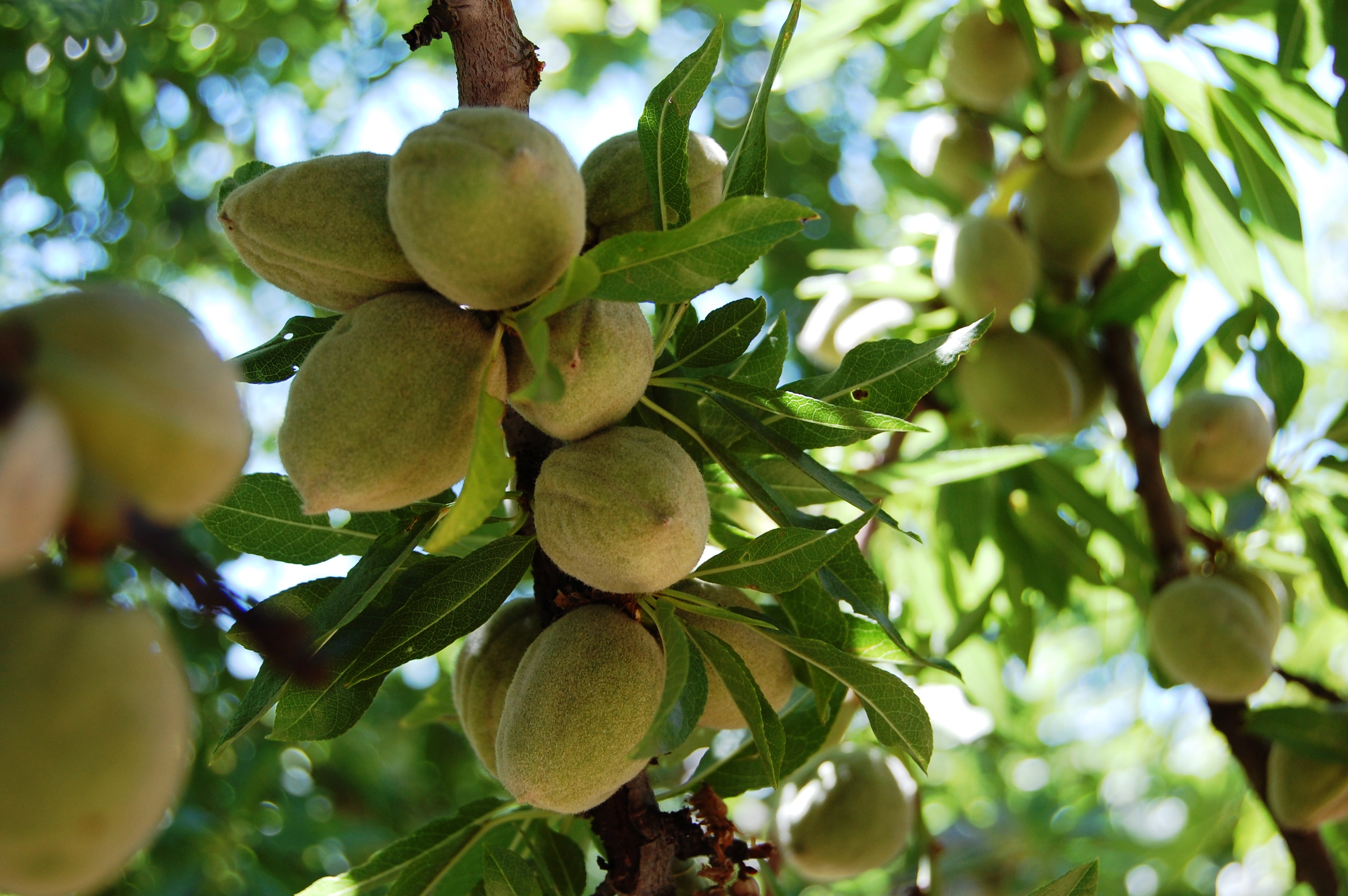 Presentation Name on emaze