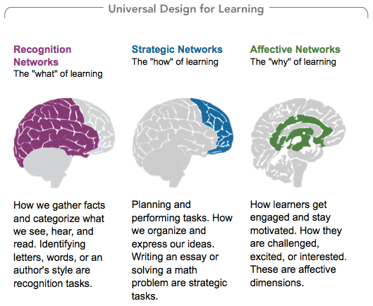 The Information Processing Model on emaze