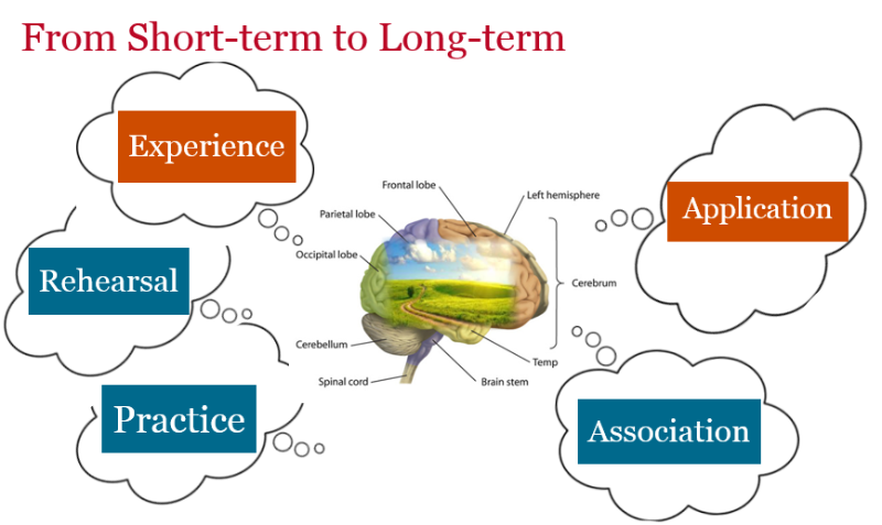 The Information Processing Model on emaze