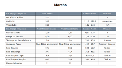 Inertial Sensor BTS G-Walk at emaze Presentation