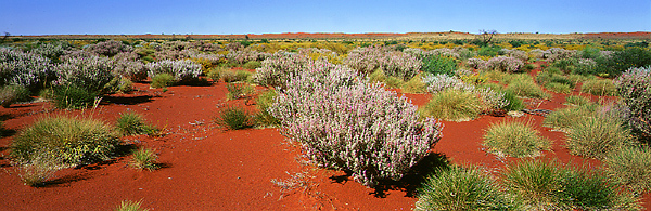 Great Sandy Desert at emaze Presentation