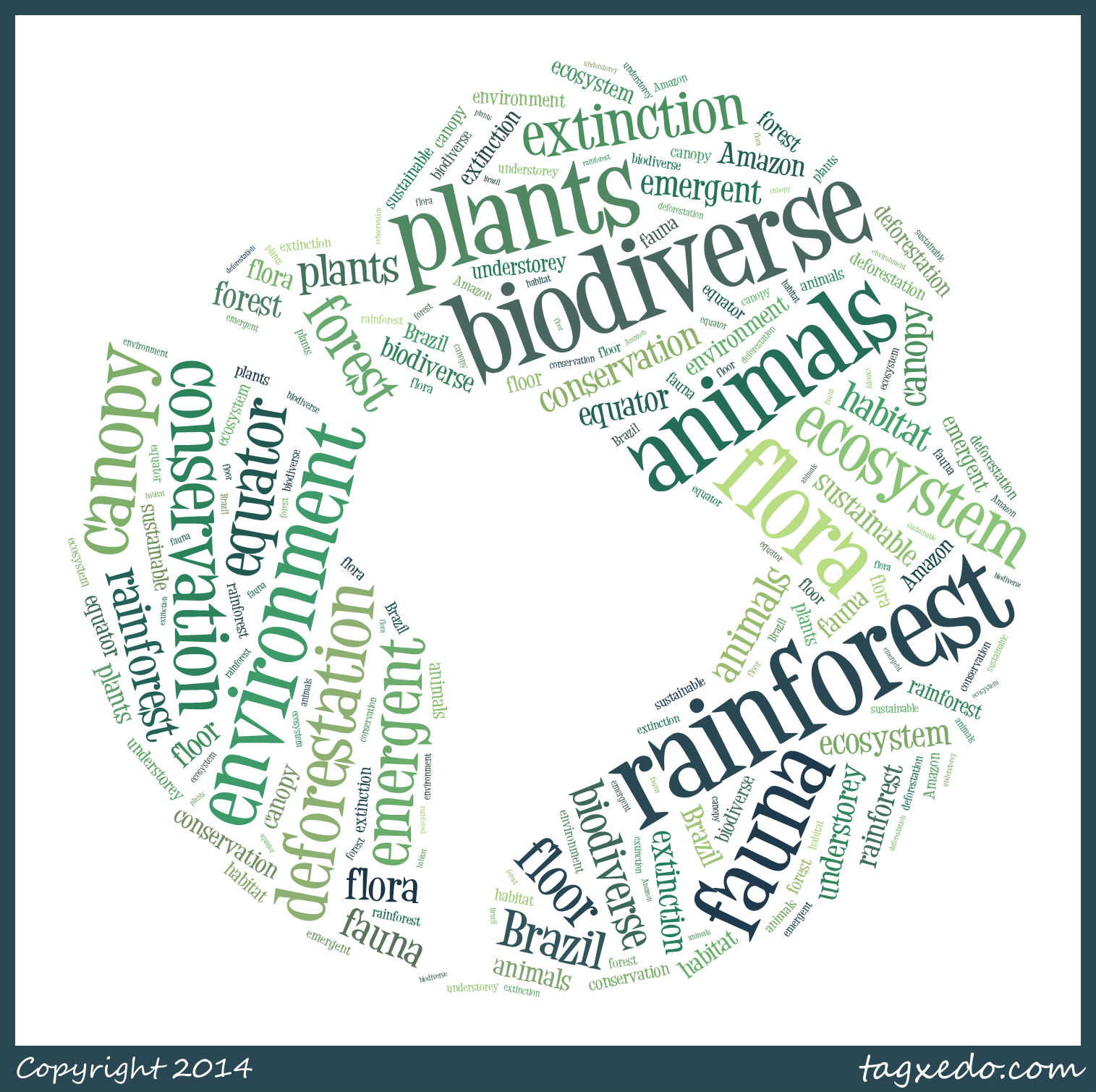 The Amazon Rainforest at emaze Presentation