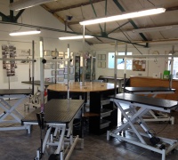 IDENTIFYING HAZARDS IN THE GROOMING AREA at emaze Presentation