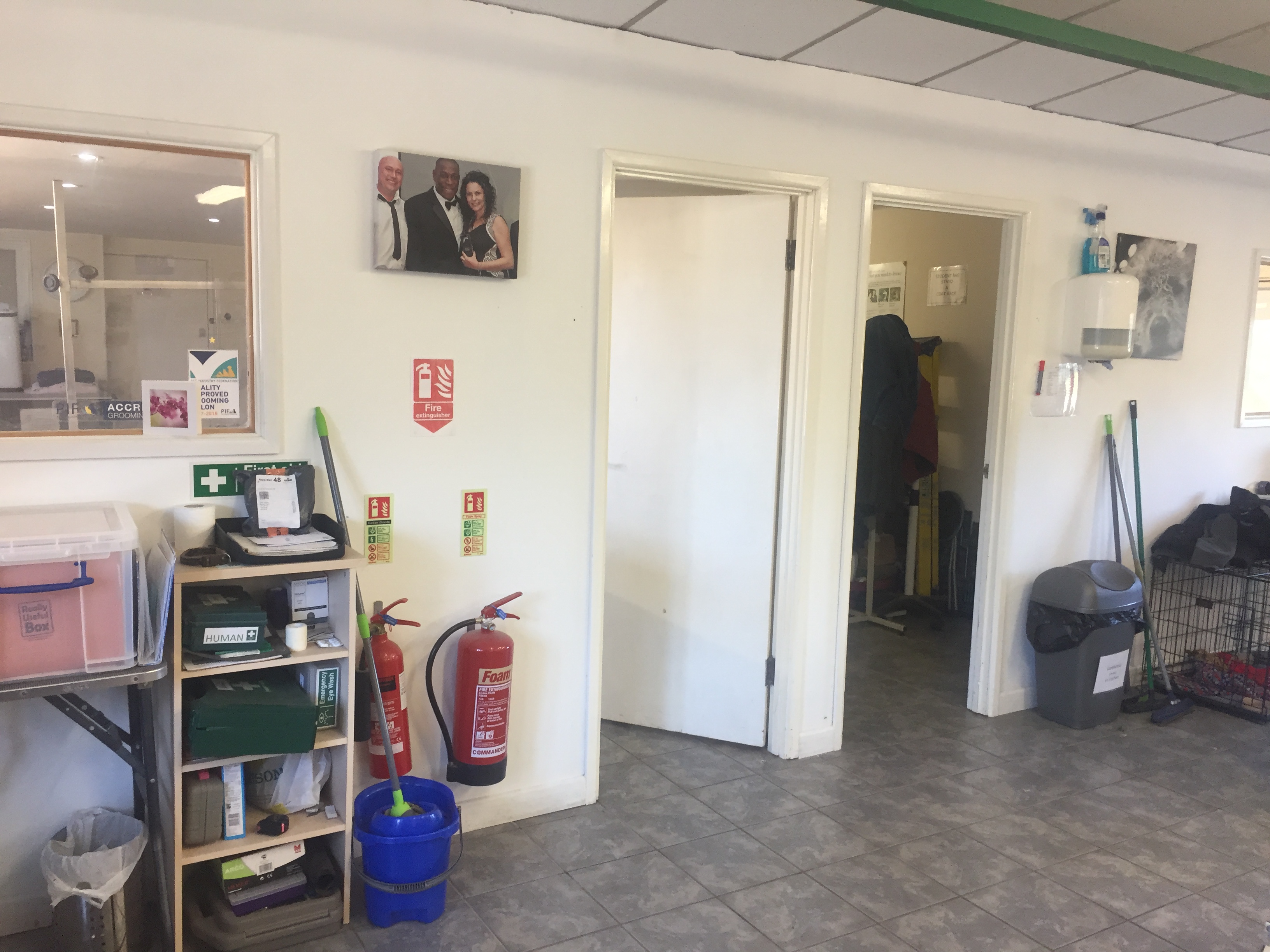 IDENTIFYING HAZARDS IN THE GROOMING AREA at emaze Presentation