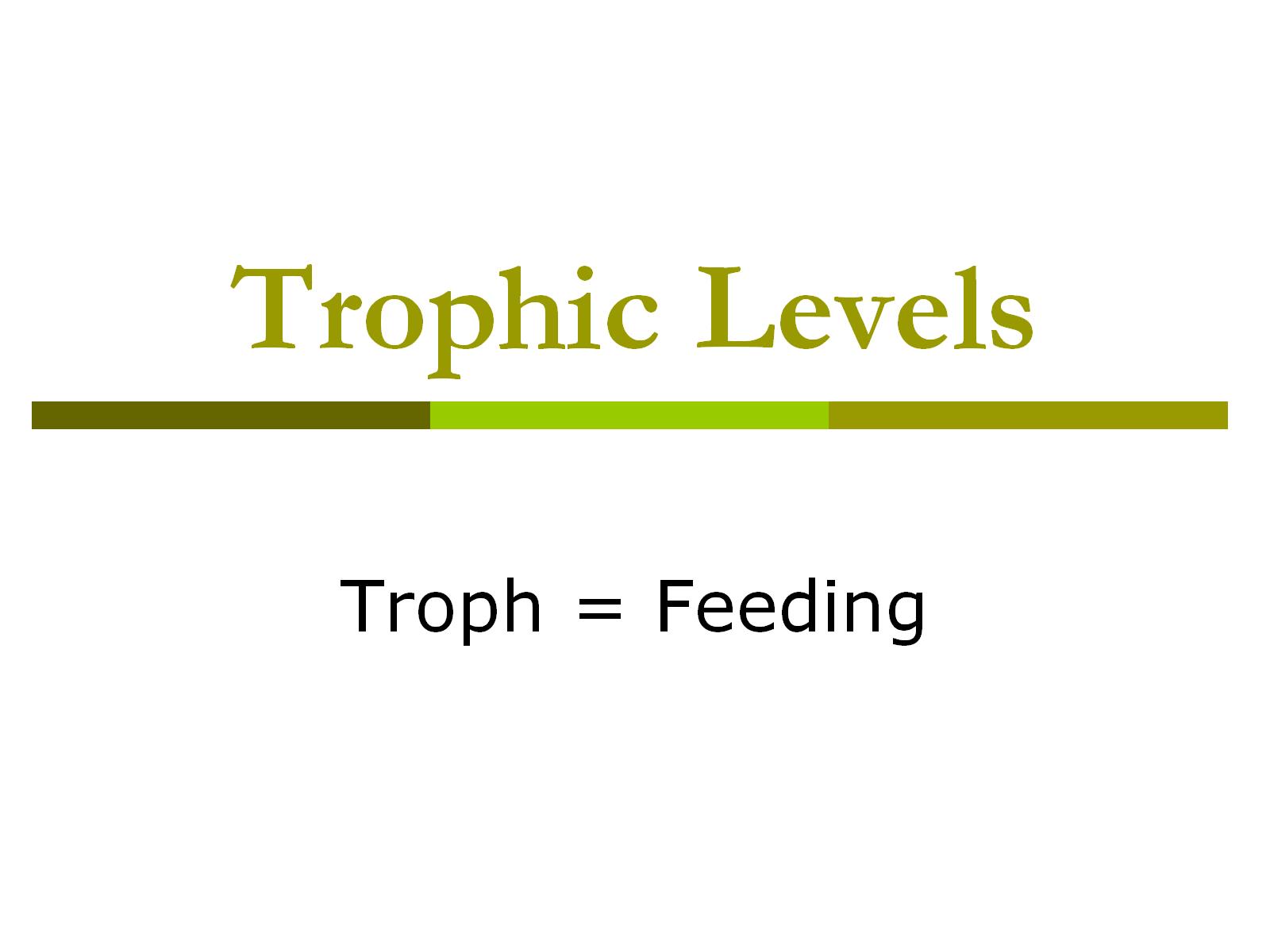 Trophic Levels.pptx at emaze Presentation