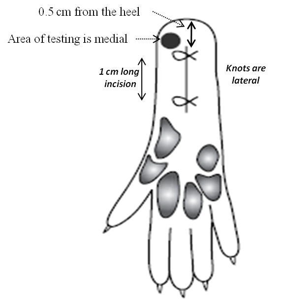 Rakesh_PUBLIC DEFENSE.pptx at emaze Presentation