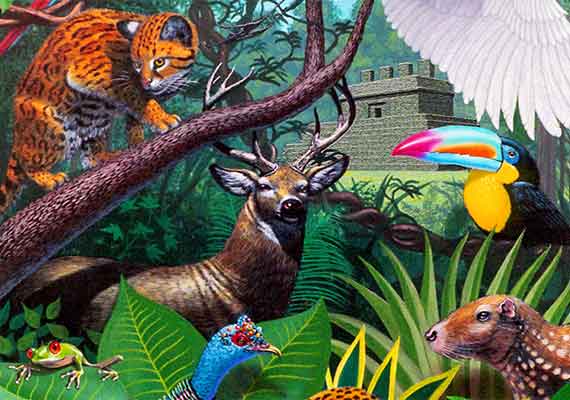 La biodiversidad de México on emaze