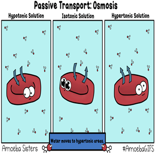 Presentation Name on emaze