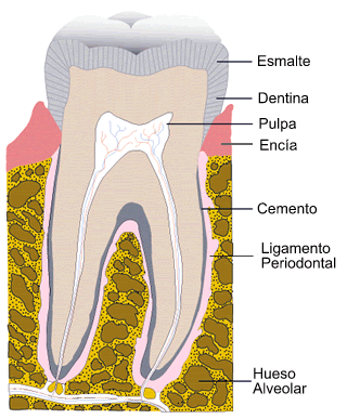 Presentation Name on emaze