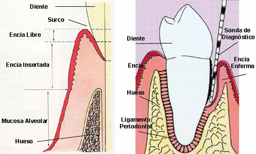 Presentation Name at emaze Presentation
