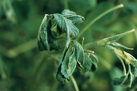 Air Pollution Exhibition on emaze