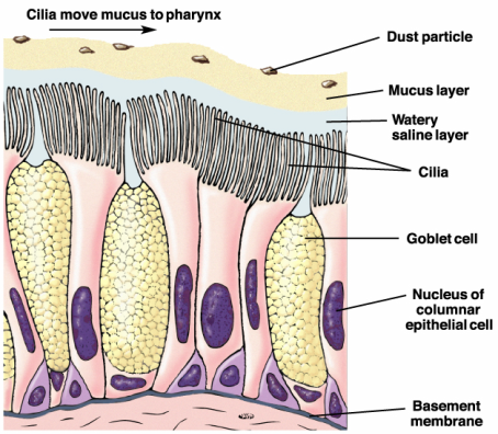 Presentation Name on emaze