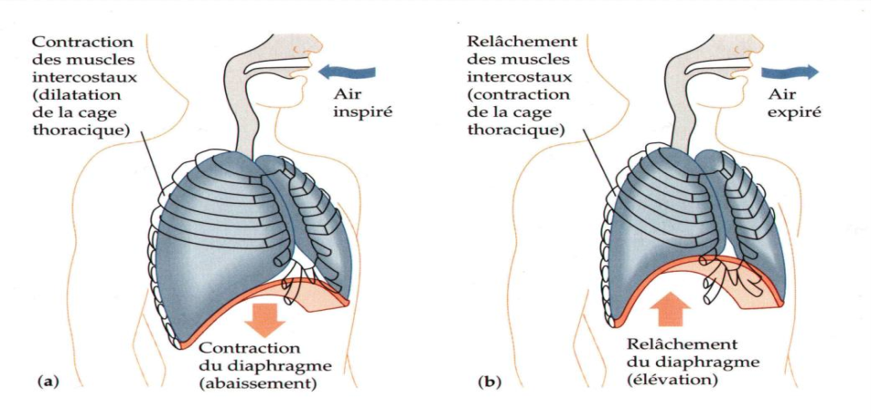 Presentation Name on emaze