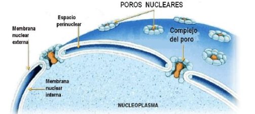 biologia at emaze Presentation
