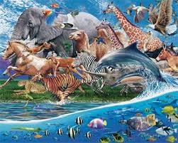 Los animales terrestre y acuáticos on emaze