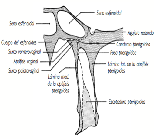 Presentation Name copy1 on emaze