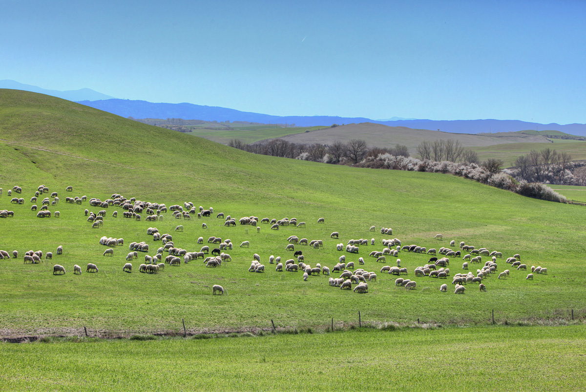 Louisiana's Geography on emaze