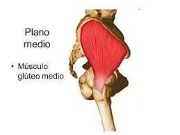 región glútea on emaze