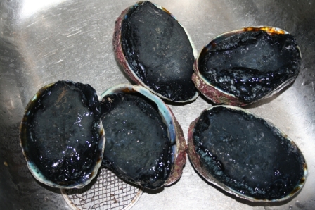 Pihau Paua at emaze Presentation