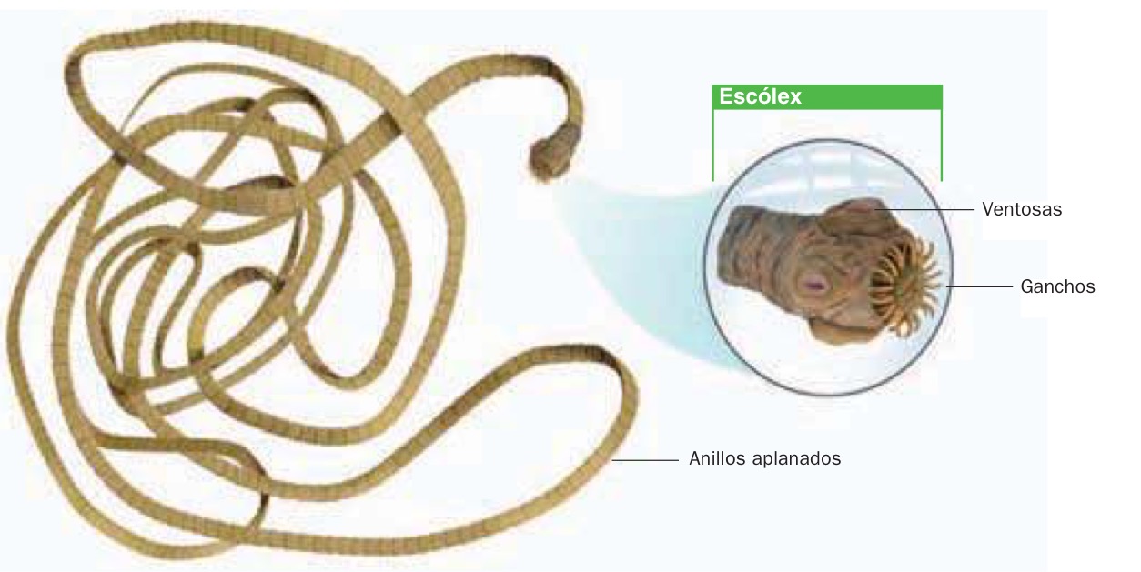 Presentation Name on emaze