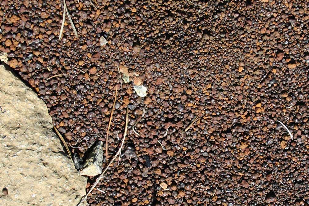 ppt on laterite soil on emaze