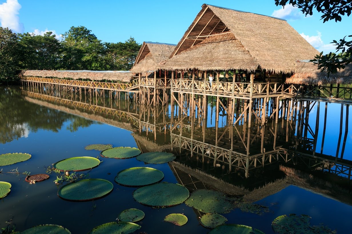 AMAZONAS at emaze Presentation