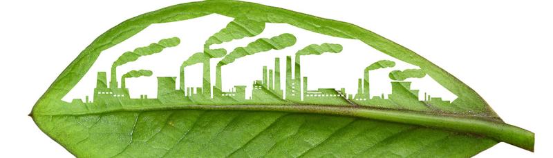 Green Supply Chain at emaze Presentation