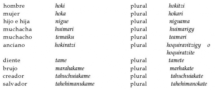CHOL. lengua indigena at emaze Presentation