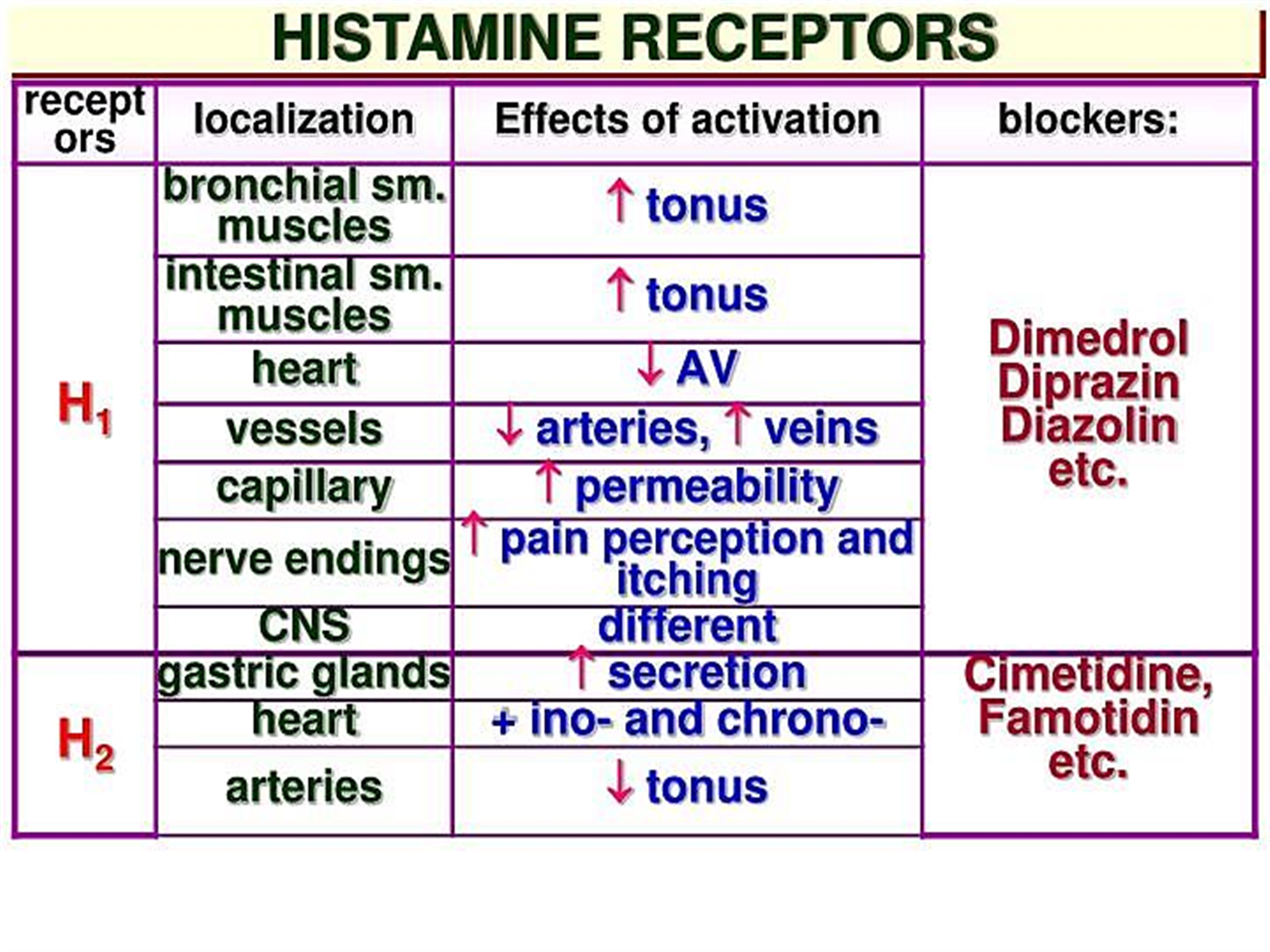 Illustrated at emaze Presentation