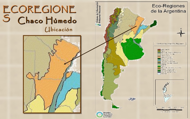 biomas de argentina on emaze