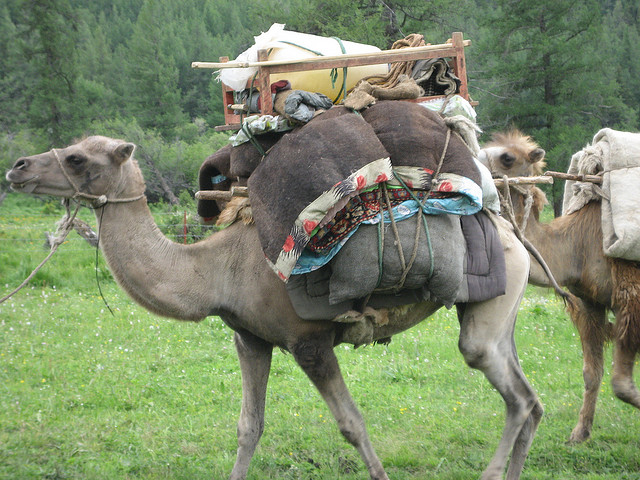 nomads on emaze