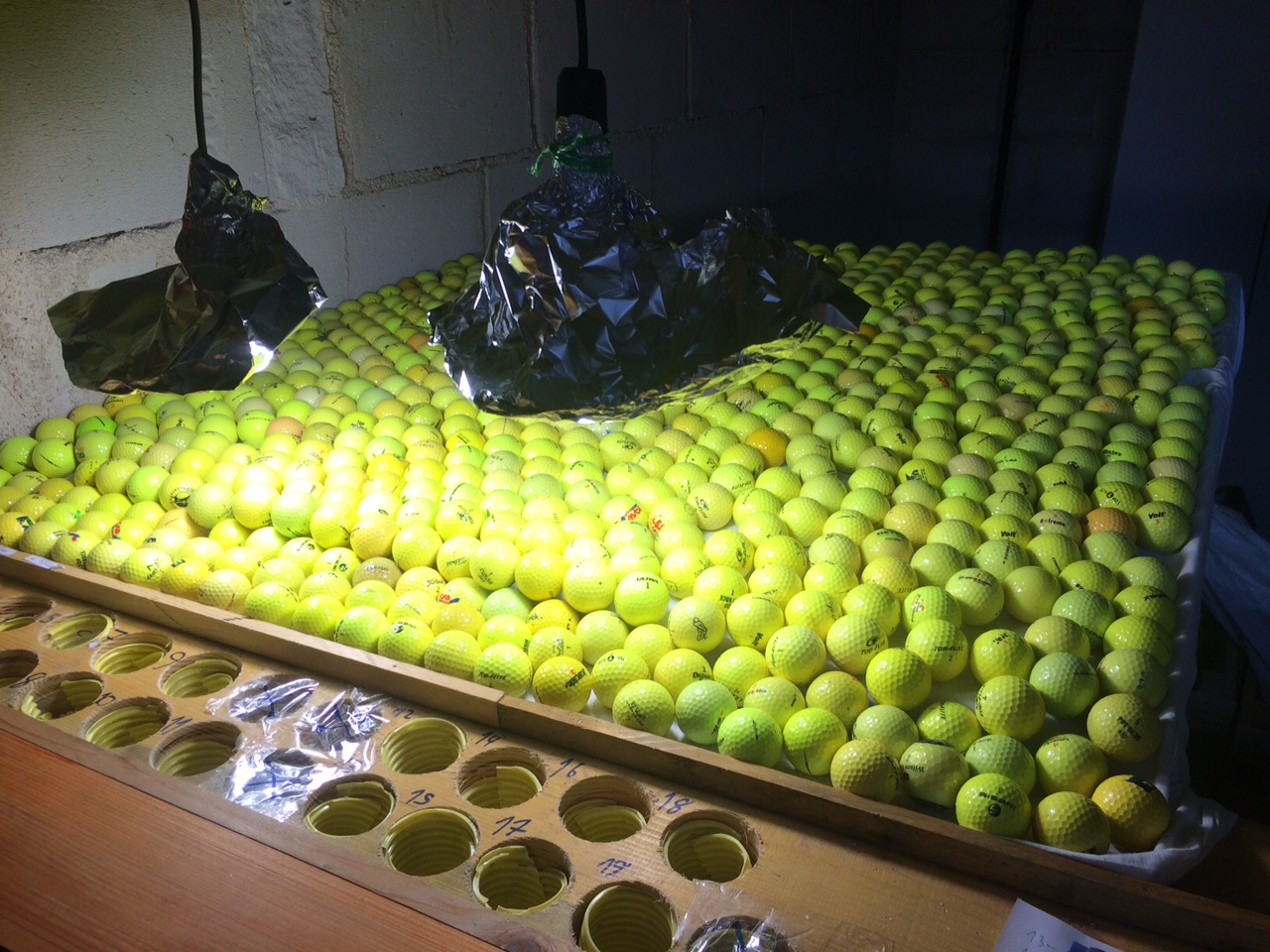 golfballz at emaze Presentation
