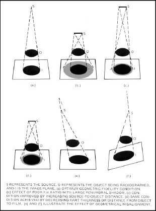 Radiography at emaze Presentation