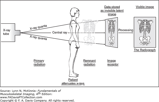 Radiography on emaze