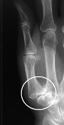 Chapter 4 Part 1 copy1 on emaze