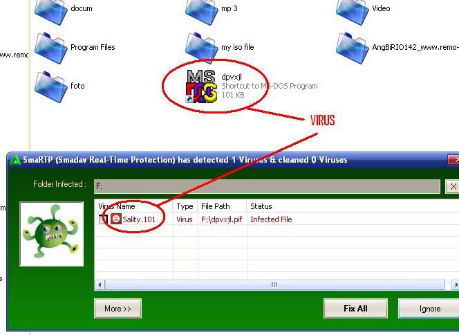 The Sality Virus at emaze Presentation