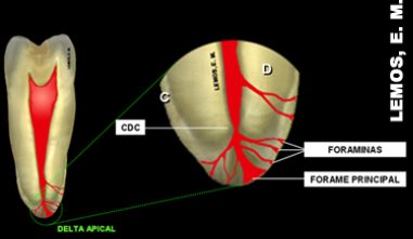 Untitled at emaze Presentation