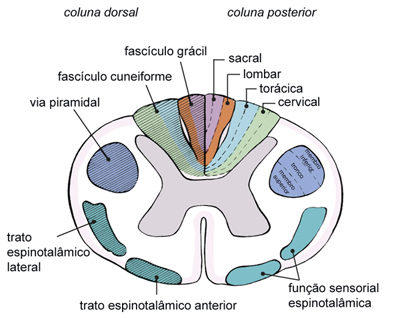 Across the Guardian of our Minds