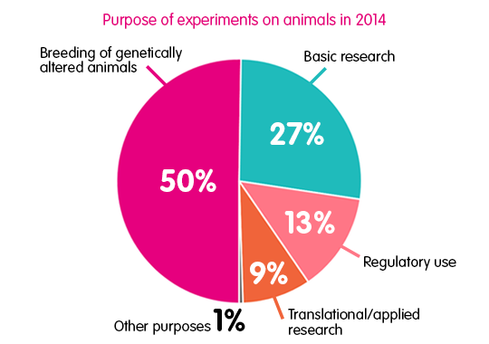 ANIMAL TESTING At Emaze Presentation animal-testing-at-emaze-presentation