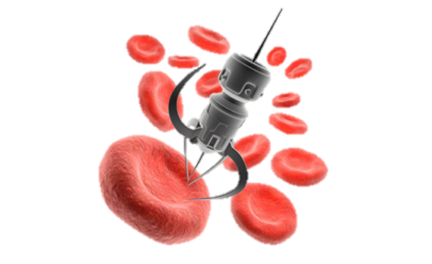 Presentation Name on emaze