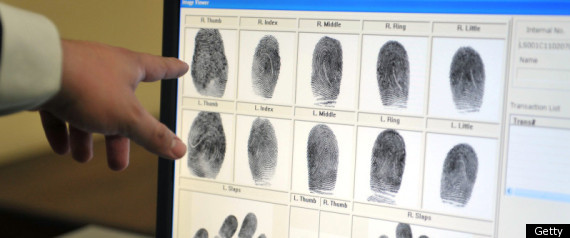 Fingerprint Analysts at emaze Presentation