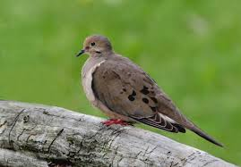 Regiones de Queretaro on emaze