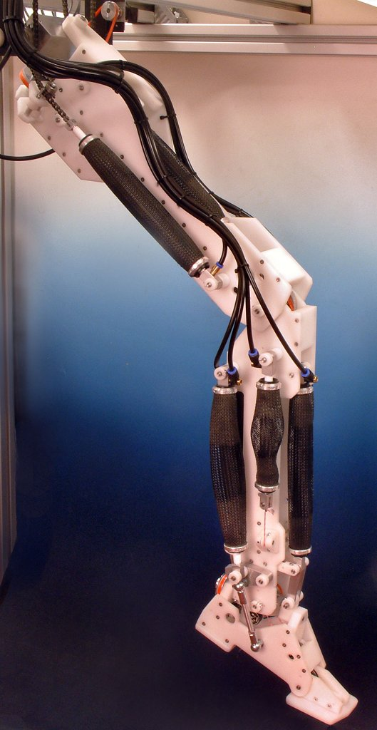 ROBÓTICA on emaze