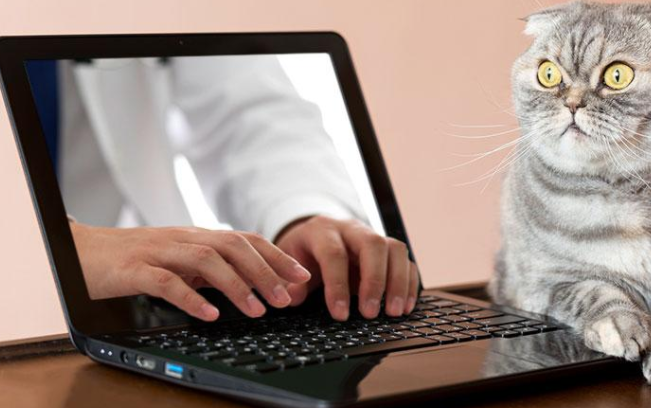 Cell system vs Computer system at emaze Presentation